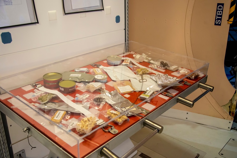 Space food: Scientists engineer dwarf protein-rich “Moon Rice” for ...