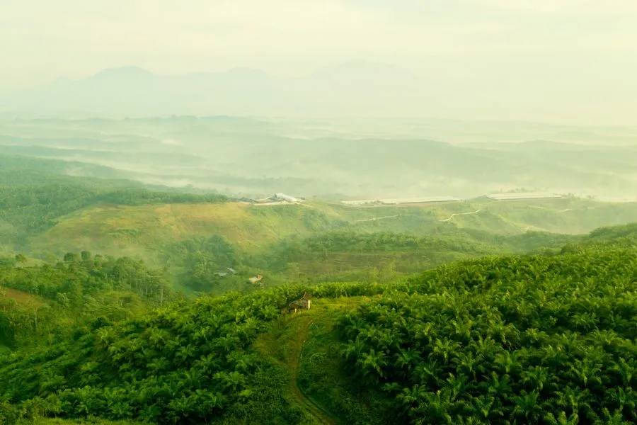 Ethical beauty fuels biotech development and supply chain strategies