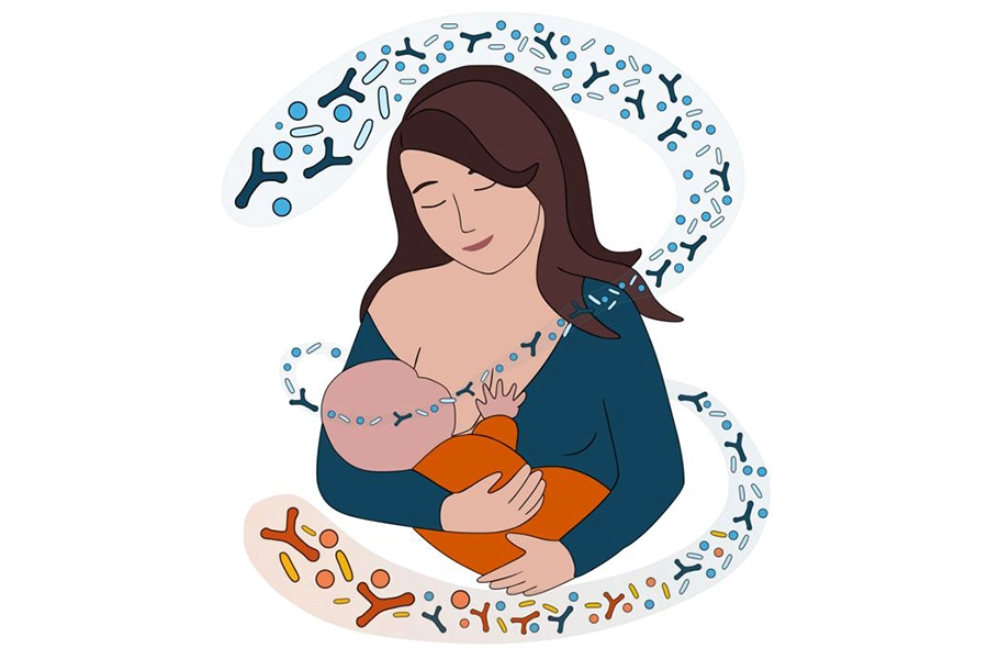Breast milk analysis reveals diverse microbiome transference shapes ...