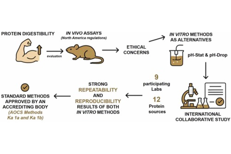 Animal-free protein digestibility tests provide low-cost alternatives ...