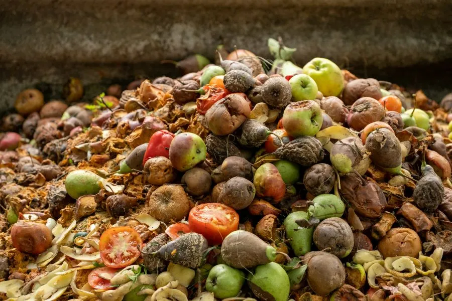 Fighting meat waste: RFID tech targets US$94B loss in retail industry