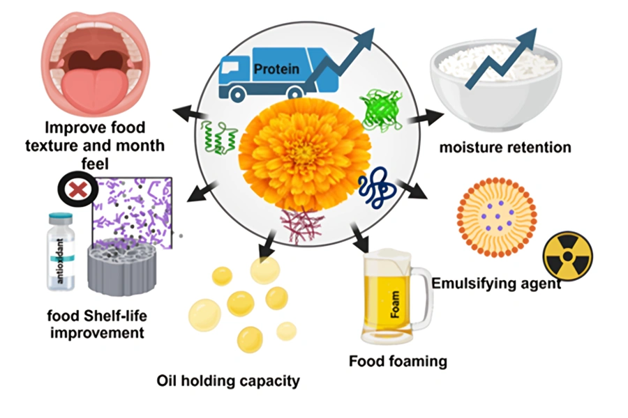 Upcycled marigold flower waste boosts flavor, texture & sustainability ...