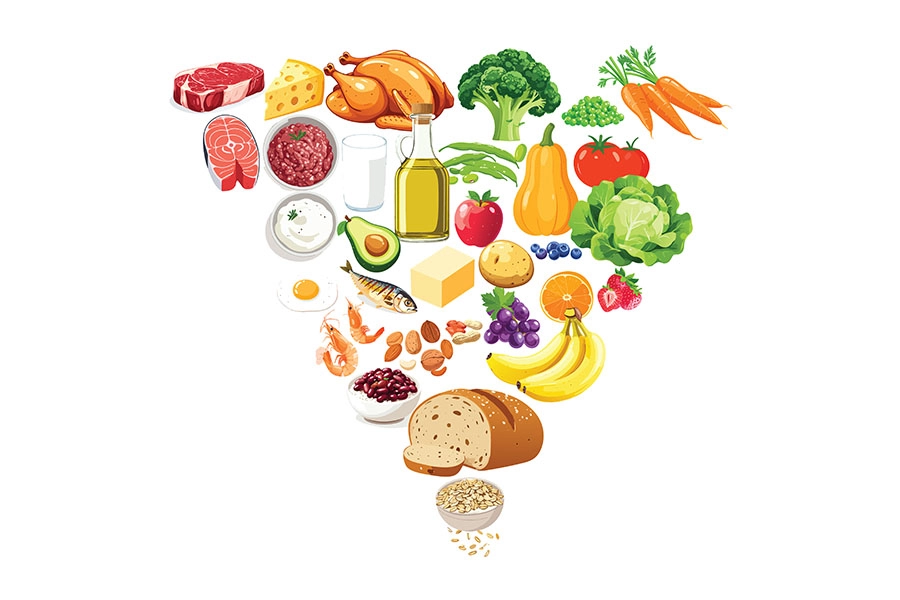 US dietary guidelines praised for life-stage nutrition, meat and full ...