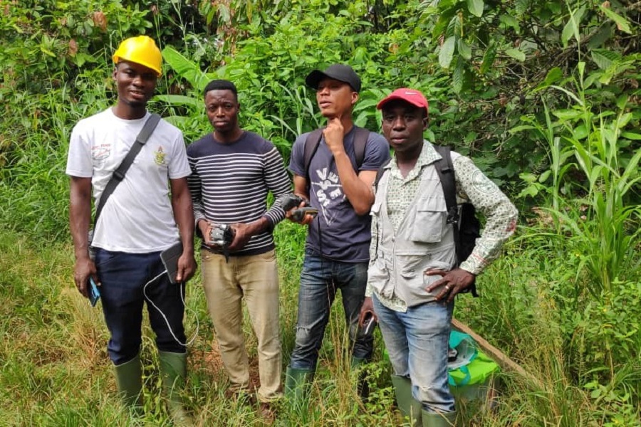 Scientists call for shade-grown cocoa to boost carbon savings and ...