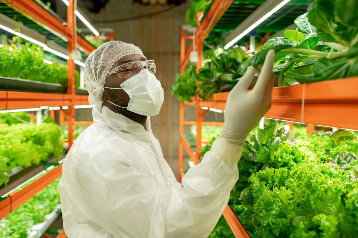 Food science sector warns proposed US grant rules could weaken research ...