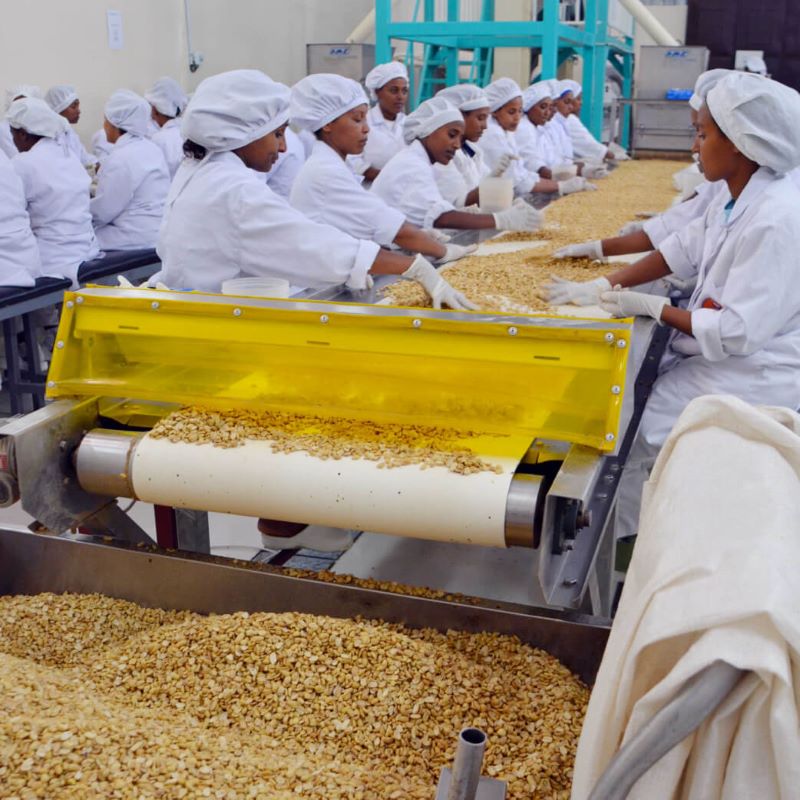 “Miracle foods”: How Edesia’s Plumpy’Nut RUTF combats child malnutrition