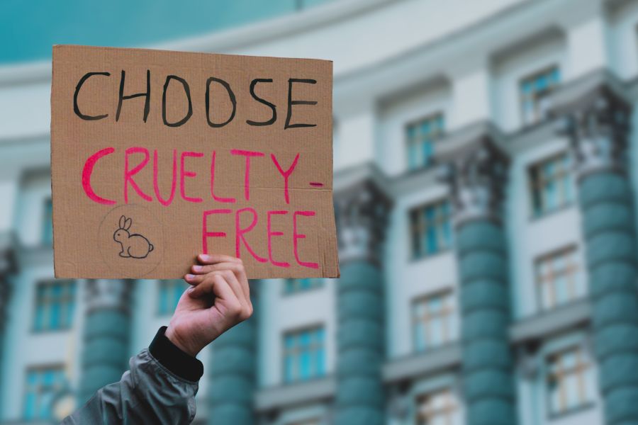 PETA US tightens cruelty-free list to close EU animal testing loophole