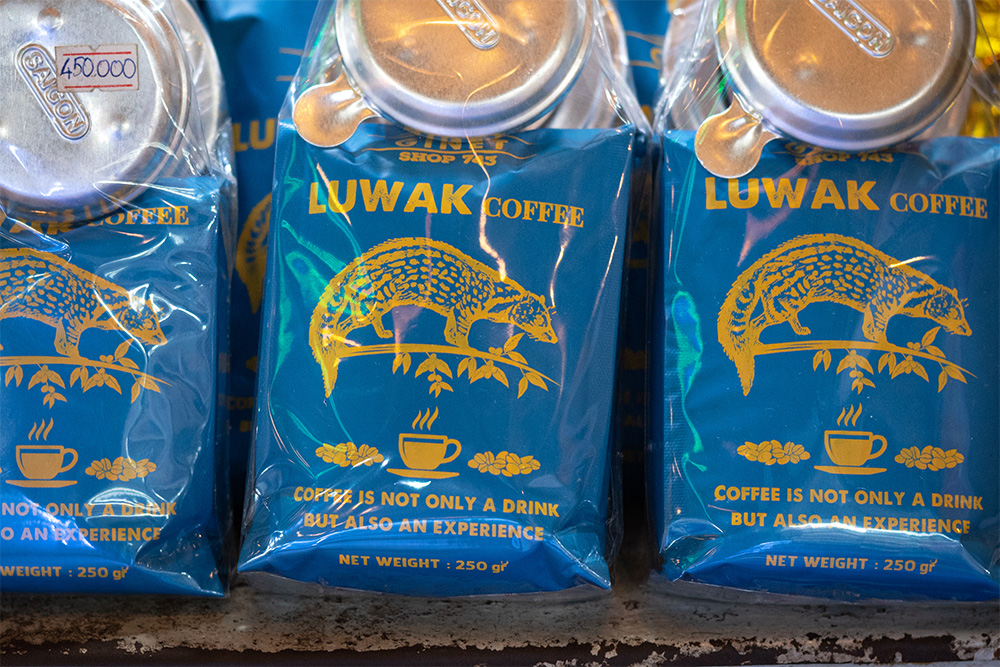 Kopi luwak controversy: PETA uncovers animal cruelty in coffee trade