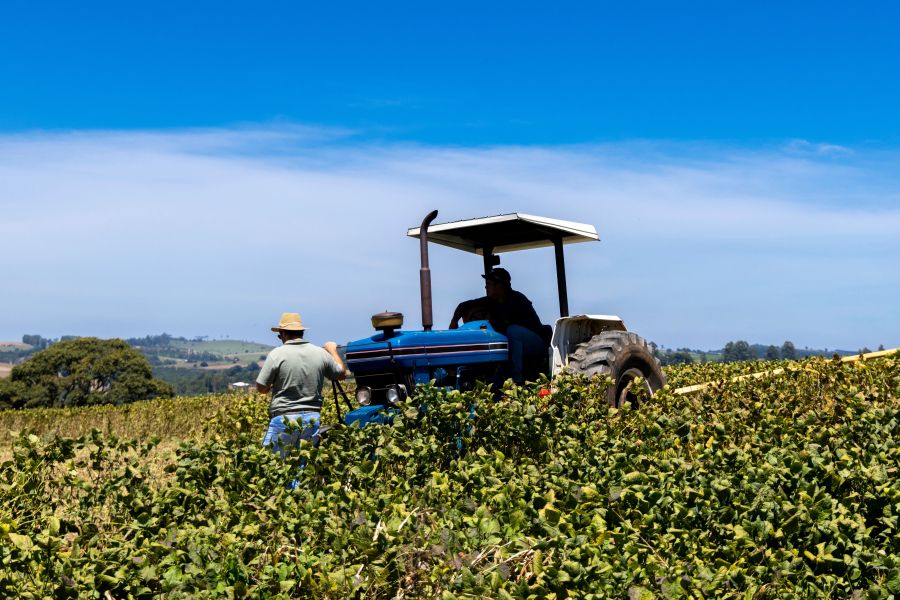 COP30: Brazil launches farmland restoration accelerator to bridge US ...