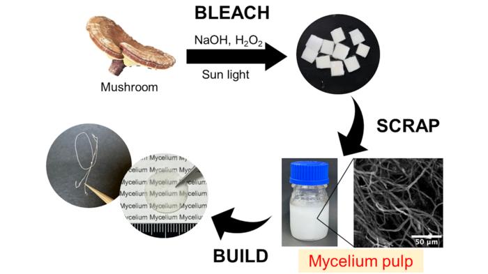 Japanese researchers develop new mycelium-based packaging technology