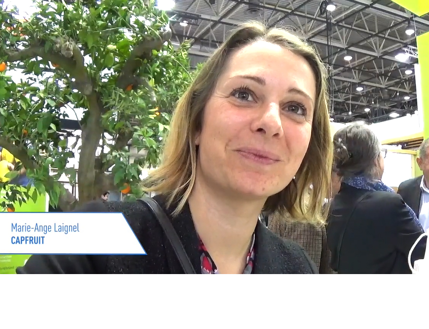 On Trend Fruit Puree Solutions