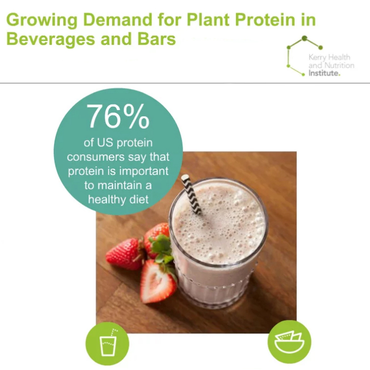 Plant Proteins – Overcoming Inherent Hurdles